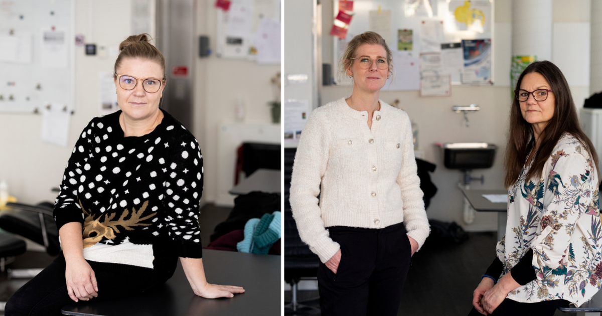 Botilbud Efter Fuldtidsprojekt Ingen Vil Tilbage Til Det Gamle