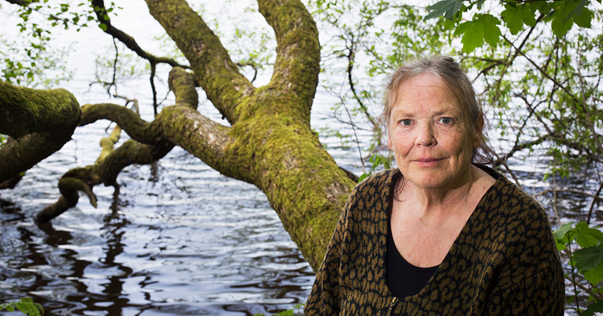 Et bid i panden endte med PTSD