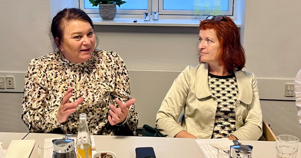 Ledere om advisory board: Sådan kan vi påvirke vores fagforening