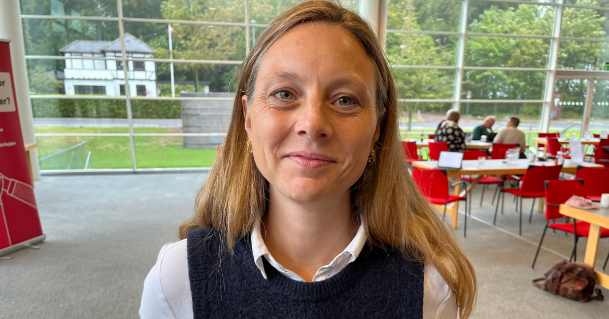 Får sparring på mine blinde vinkler